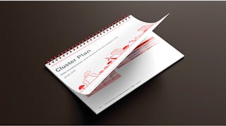 Cluster Plan | Dalton Local Industrial Decarbonisation Plan